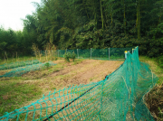 DSC_0686.JPG (DSC_0686.JPG) ダウンロード | 2ちゃんねる画像アップローダー | uploader.jp